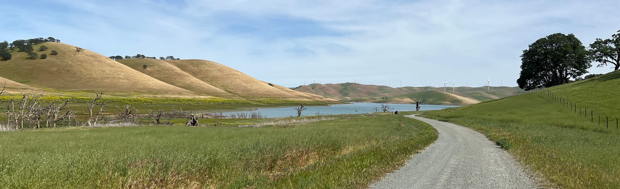 Los Vaqueros Shoreline Loop Trail, California - 77 Reviews, Map | AllTrails