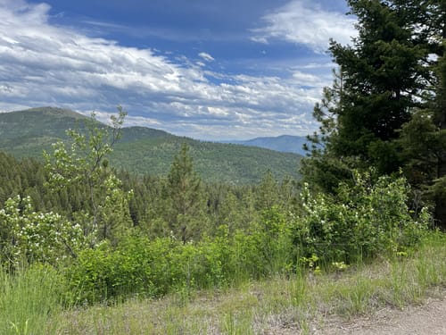 Best 10 Hikes and Trails in Rattlesnake National Recreation Site ...