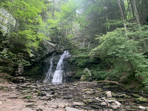 Best 10 Hikes and Trails in Delaware Wild Forest | AllTrails