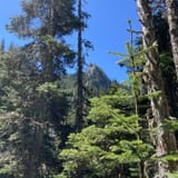PJ Lake Trail, Washington - 155 Reviews, Map | AllTrails