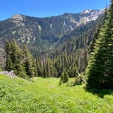 PJ Lake Trail, Washington - 155 Reviews, Map | AllTrails