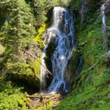 PJ Lake Trail, Washington - 155 Reviews, Map | AllTrails