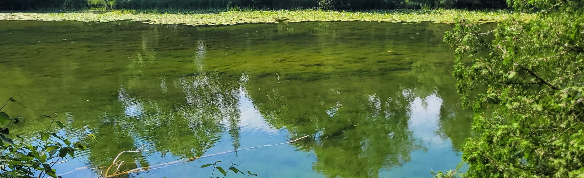 AllTrails | Dunes Ridge Trail: 55 Reviews, Map - Ontario, Canada