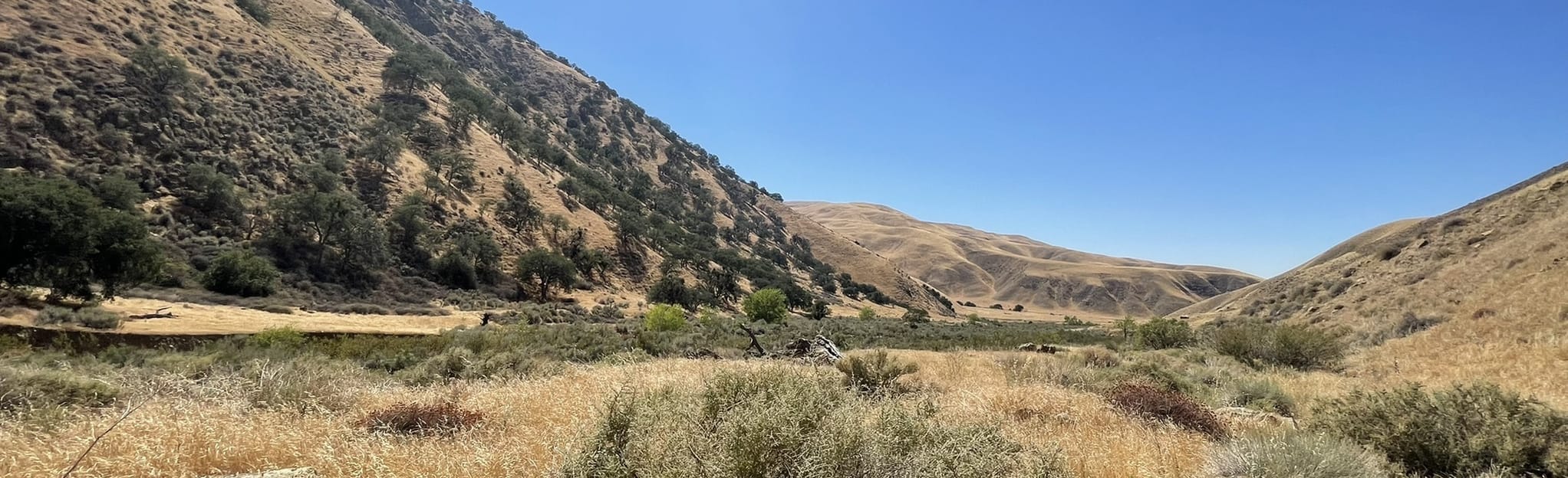 El Camino Viejo Bike Trail: 339 Reviews, Map - California | AllTrails