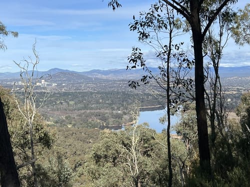 2023 Best 10 Trails and Hikes in Canberra | AllTrails