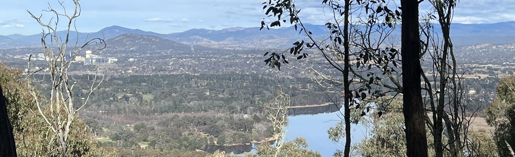 Forest Track, Australian Capital Territory, Australia - 165 Reviews ...