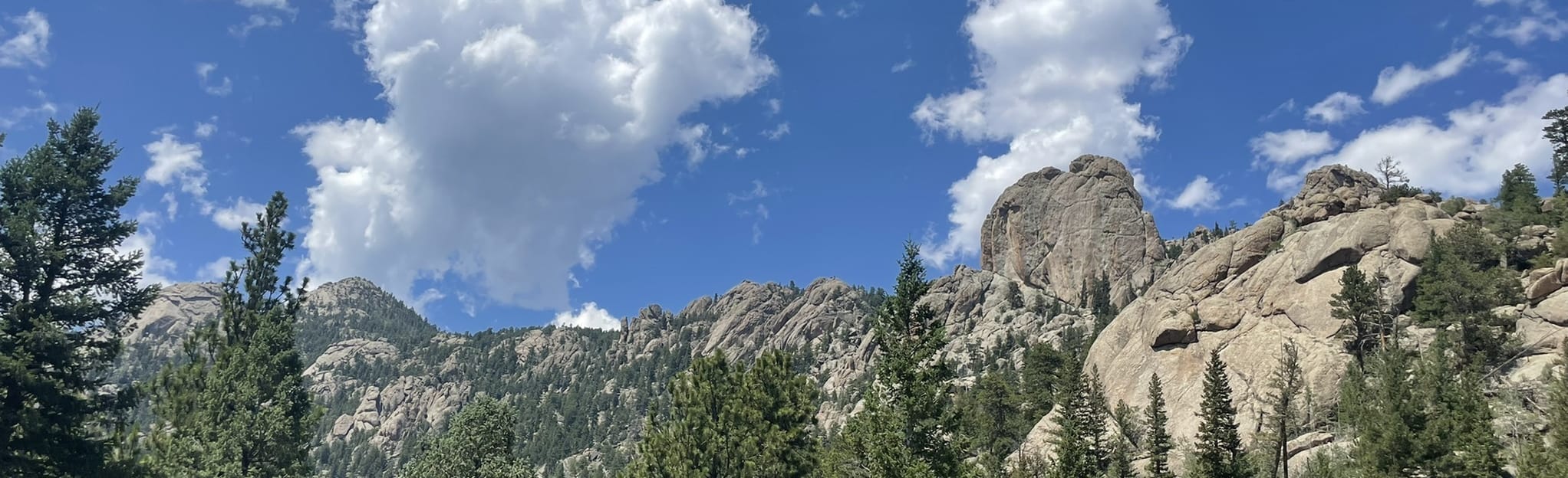 Twin Owls via Lumpy Ridge Loop, Colorado - 1,192 Reviews, Map | AllTrails