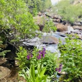 Peru Creek and Chihuahua Gulch OHV Trail, Colorado - 222 Reviews, Map ...