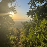 Temple Loop, Utah - 216 Reviews, Map | AllTrails