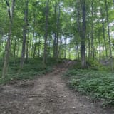 Lakeview and Boundary Loop, Indiana - 155 Reviews, Map | AllTrails