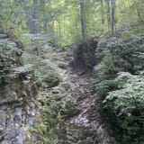 Lakeview and Boundary Loop, Indiana - 155 Reviews, Map | AllTrails