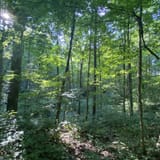 Lakeview and Boundary Loop, Indiana - 155 Reviews, Map | AllTrails