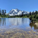 Mount Baker Highway to Artist Point, Washington - 68 Reviews, Map ...