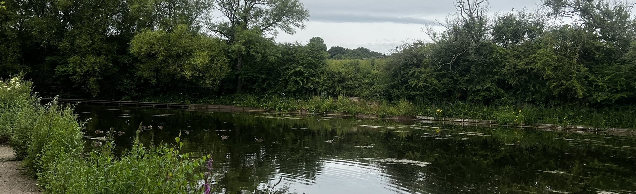 Reddish Vale Country Park Perimeter Loop - Greater Manchester, England ...