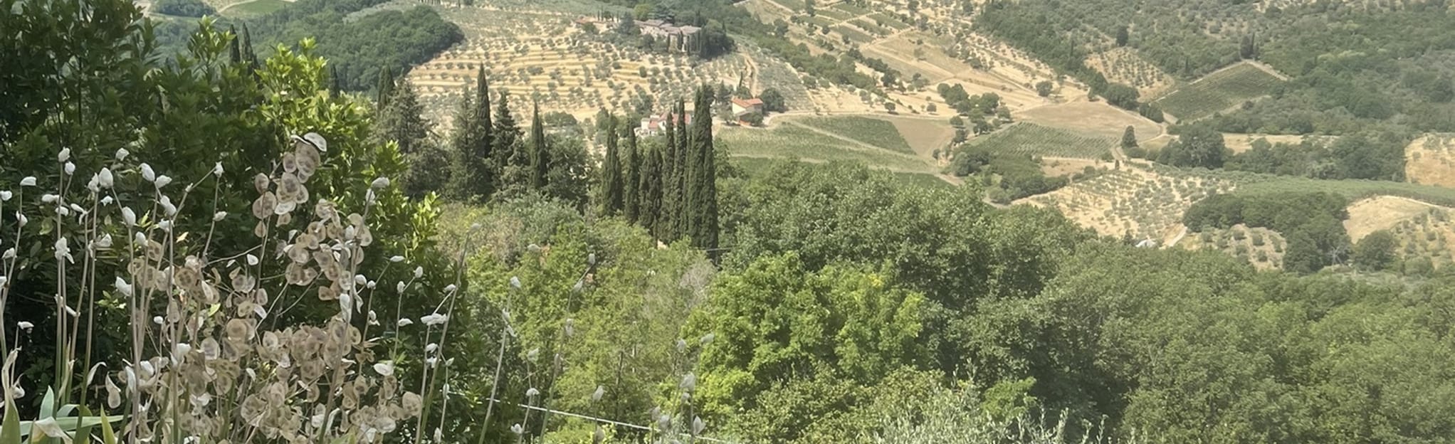 Pelago - Magnale Loop, Tuscany, Italy - 8 Reviews, Map | AllTrails