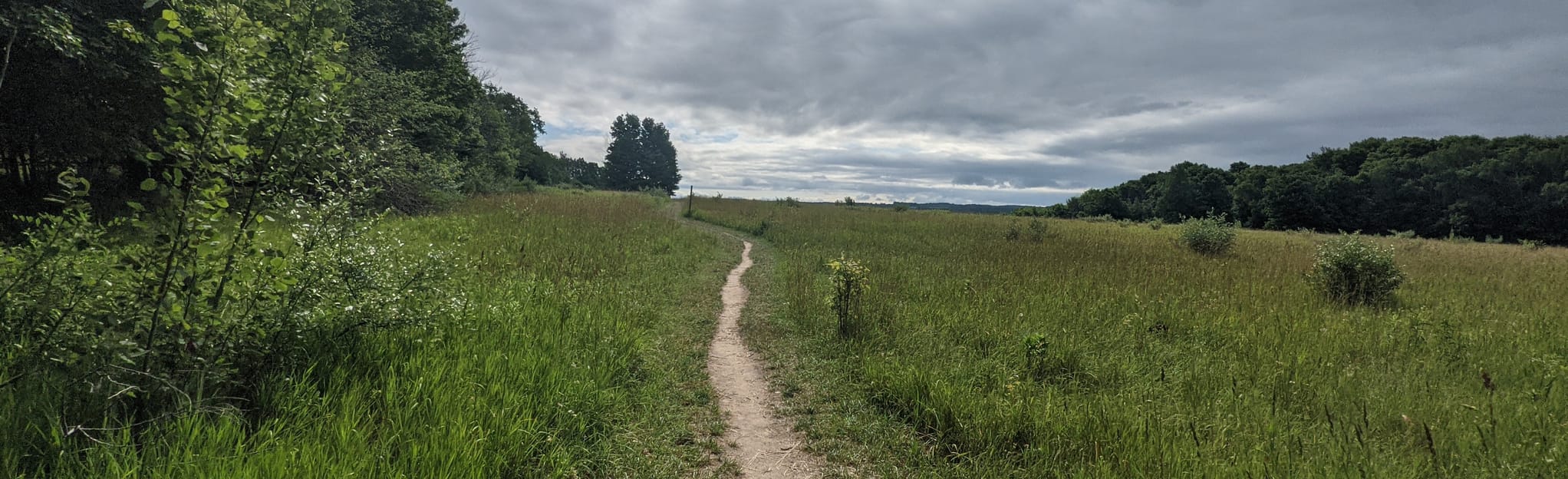 Clay Cliffs Loop , Michigan - 642 Reviews, Map | AllTrails