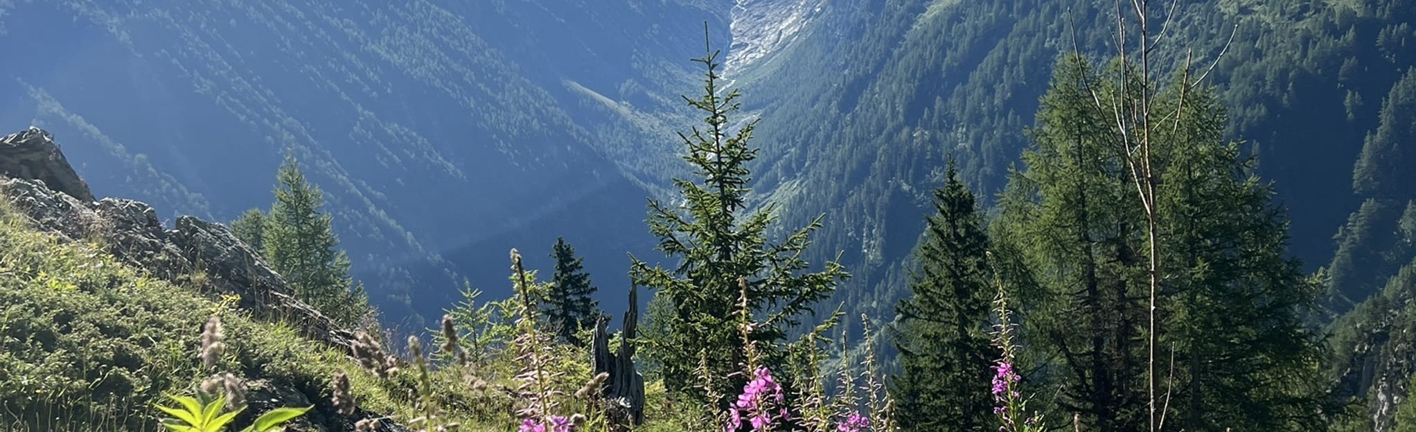 Alpine Passes Trail, Segment 37: Trient - Lac d’Emosson: 2 Reviews, Map ...