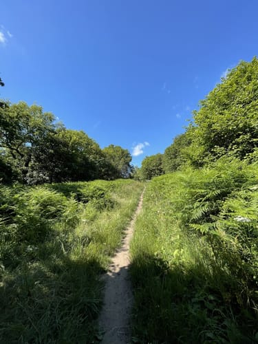 2023 Best 10 Trails, Walks, and Paths in Newcastle upon Tyne | AllTrails
