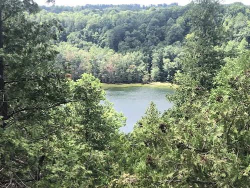 Best Kid Friendly Trails in Clark Reservation State Park | AllTrails
