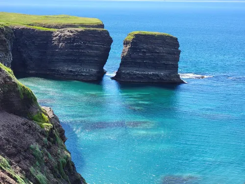 2023 Best Forest Trails in Wabana | AllTrails