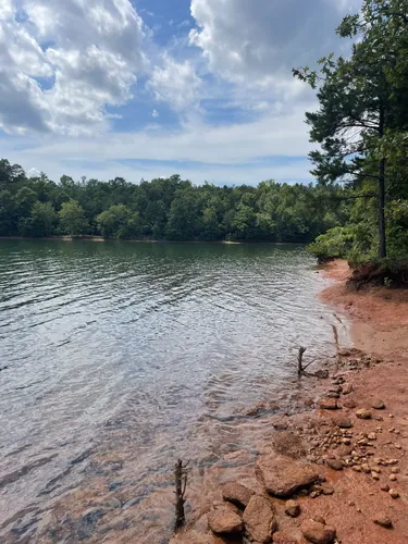 Best Kid Friendly Trails in Clemson Experimental Forest | AllTrails