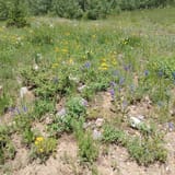 Pittsburg Lake Trail, Utah - 257 Reviews, Map | AllTrails