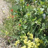 Pittsburg Lake Trail, Utah - 257 Reviews, Map | AllTrails