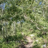 Pittsburg Lake Trail, Utah - 257 Reviews, Map | AllTrails