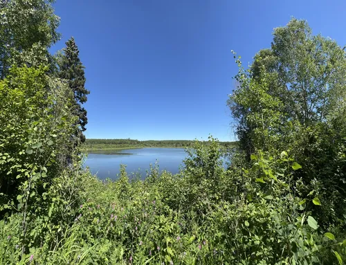 10 Best Forest Trails in Antler Lake | AllTrails