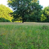 Haggetts Rail Trail to Haggetts Pond, Massachusetts - 409 Reviews, Map ...