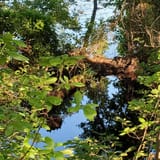 Haggetts Rail Trail to Haggetts Pond, Massachusetts - 409 Reviews, Map ...