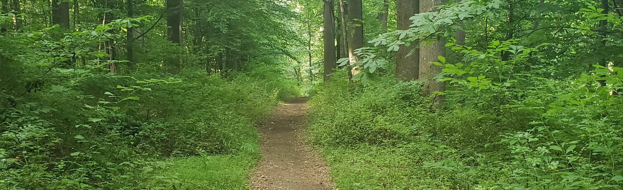 AllTrails | Merryman's Mill Upper Trail Blue Loop: 252 Reviews, Map ...