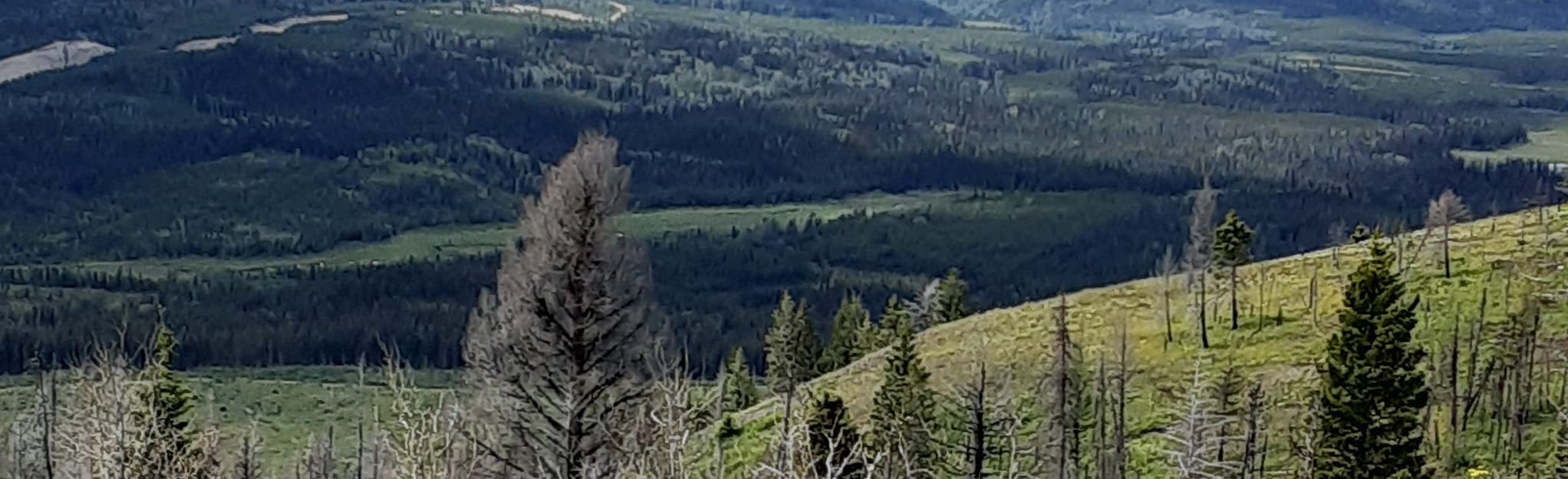 Felix Mountain Trail: 5 Reviews, Map - British Columbia, Canada | AllTrails