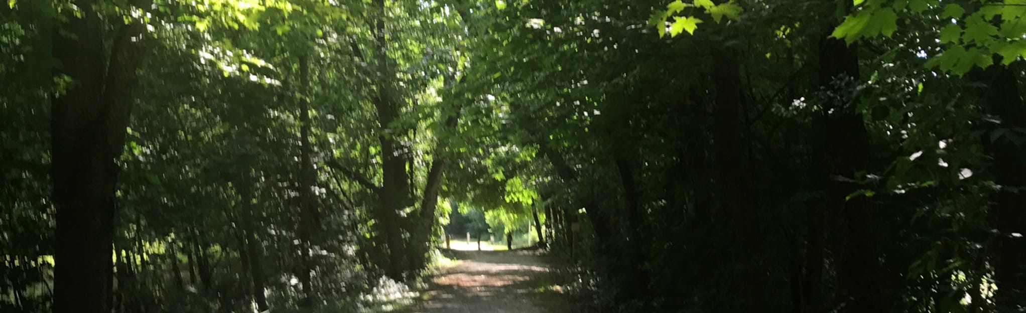 Sandy Valley Trail: 15 Reviews, Map - Ohio | AllTrails