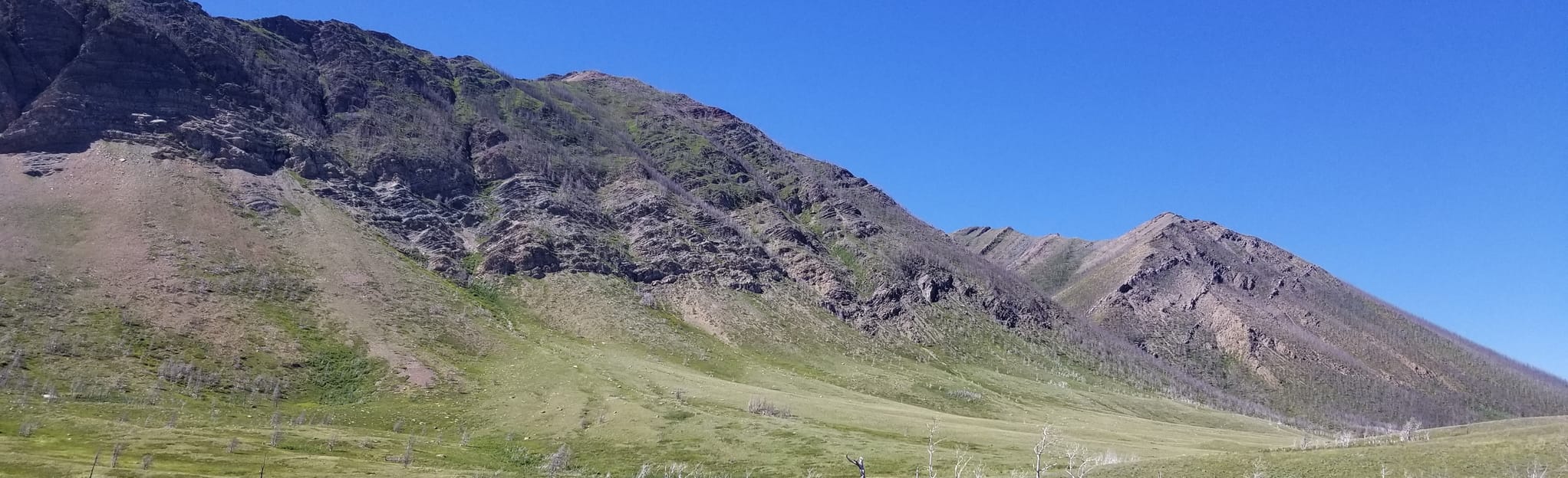 Bellevue Prairie Trail, Alberta, Canada - 29 Reviews, Map | AllTrails