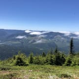 Mount Muller Trail, Washington - 190 Reviews, Map | AllTrails