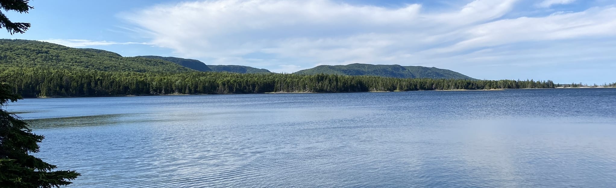 Red Island Trail: 121 foto's - Nova Scotia, Canada | AllTrails