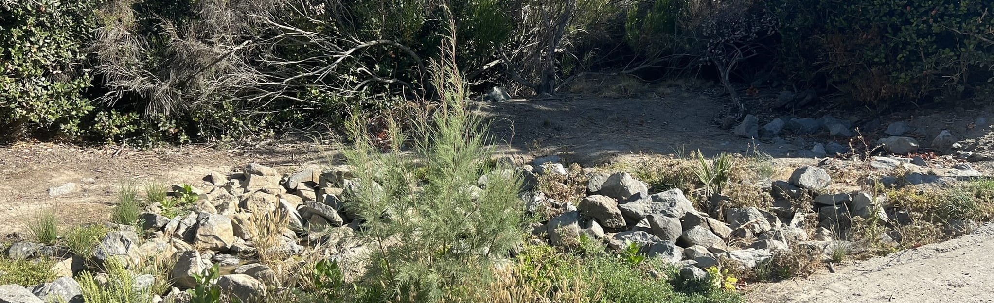 Rice Canyon Trail: 365 Fotos - Kalifornien | AllTrails