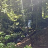 Cora Lake Trail, Washington - 232 Reviews, Map | AllTrails