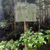 Cora Lake Trail, Washington - 232 Reviews, Map | AllTrails