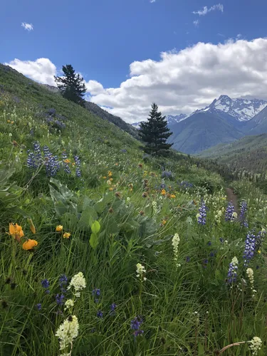 10 Best Hikes and Trails in South Chilcotin Mountains Provincial Park ...