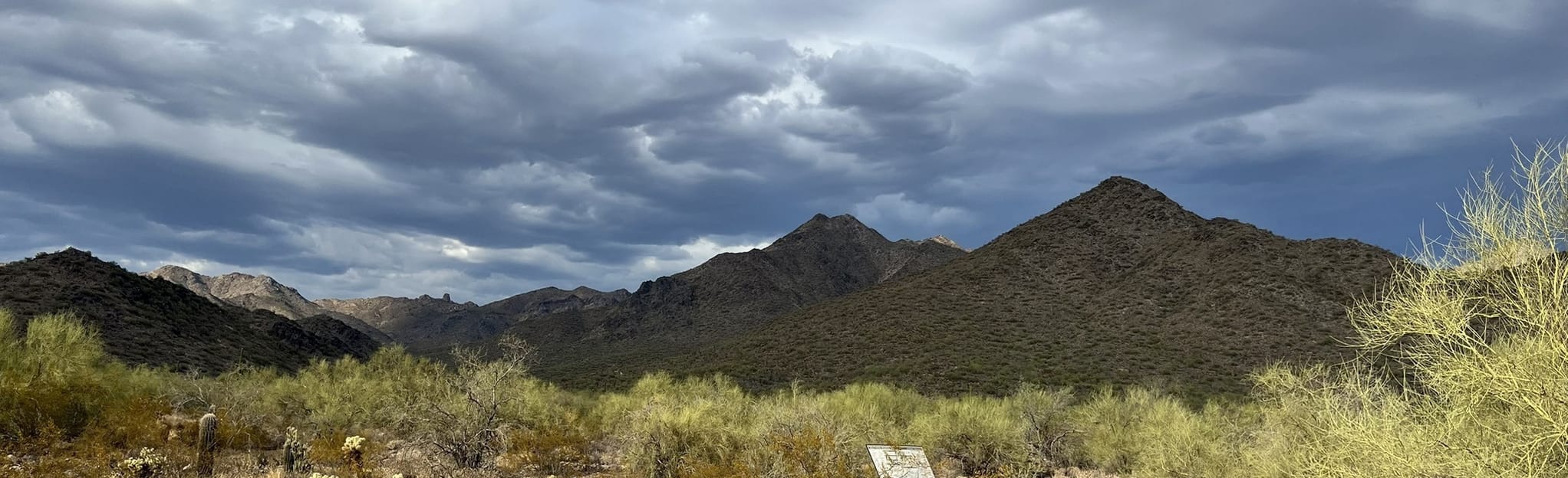 Saguaro Loop and Nature Trail: 996 foto's - Arizona | AllTrails