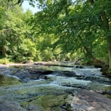 Scantic River Trail, Connecticut - 382 Reviews, Map | AllTrails