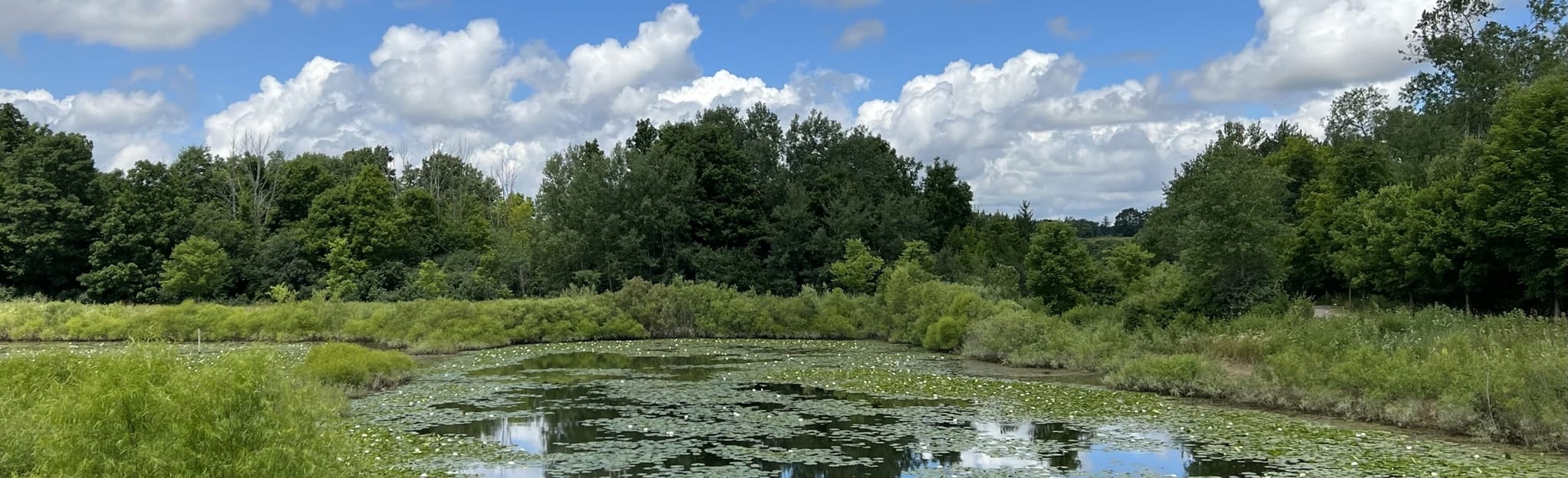 Thames Valley Trail Loop: 1094 Reviews, Map - Ontario, Canada | AllTrails