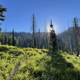 Grandjean Sawtooth Lake Loop, Idaho - 130 Reviews, Map | AllTrails