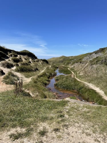 Best 10 Hikes and Trails in Thy National Park | AllTrails