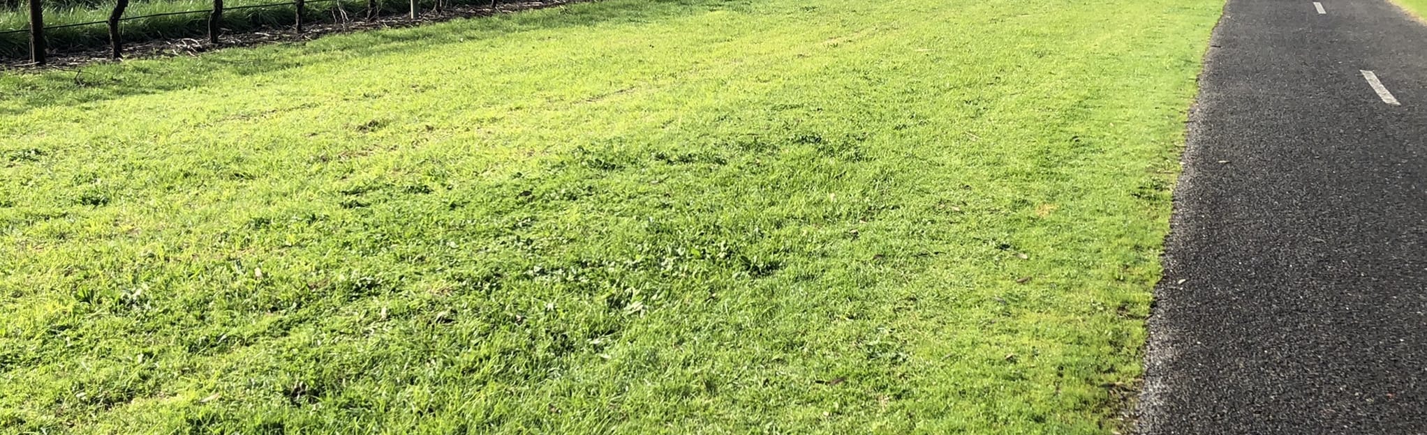 Shiraz Trail and Main Street Loop, South Australia, Australia - 9 ...