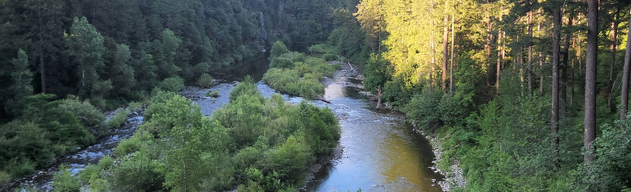 North Yuba Trail, California - 62 Reviews, Map | AllTrails