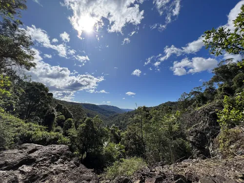 10 Best Hikes and Trails in Springbrook National Park | AllTrails