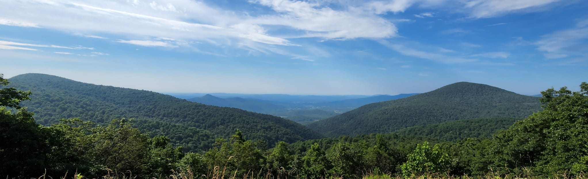 Big Run Loop, Virginia - 207 Reviews, Map | AllTrails
